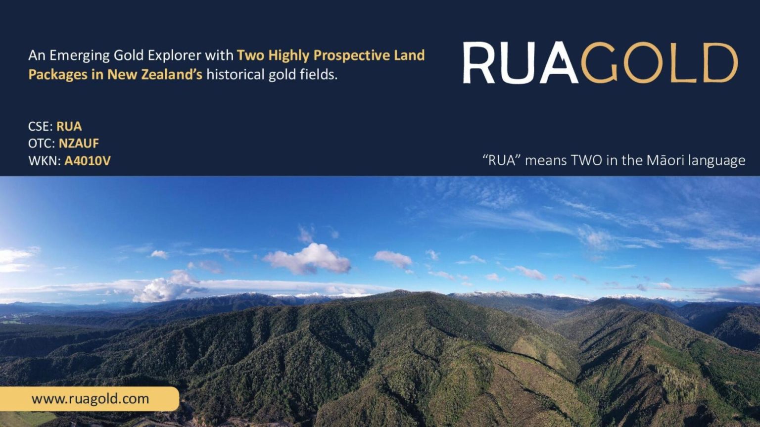 Rua Gold Investor Insights | Invest in Gold Mining
