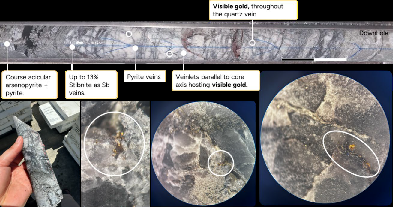 RUA GOLD intersects visible gold and antimony and confirms continuity of high-grade gold ...